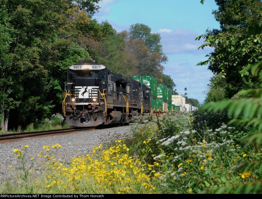 NS 8817 leads intermodal 211 west near LEHL MP 40